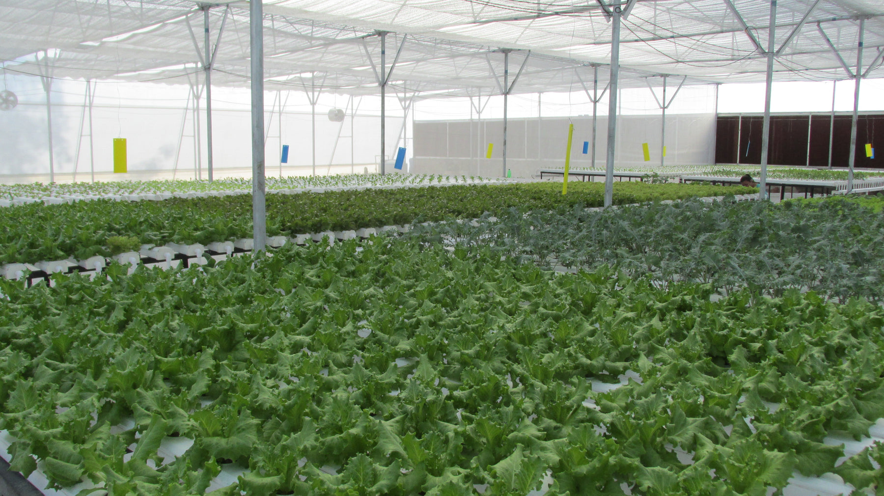 About Us - Gabbar Farms