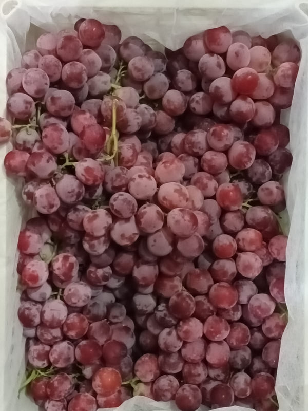 Imported Red Grapes - Gabbar Farms